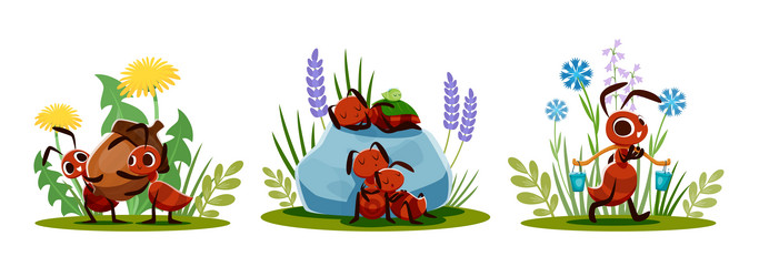 Cartoon ants sleeping on lawn and ant waking up Vector Image