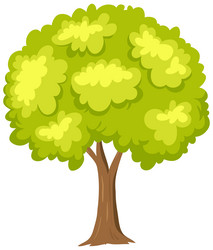 Simple tree on white background Royalty Free Vector Image