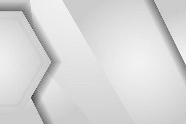 Abstract office background white artistic texture Vector Image