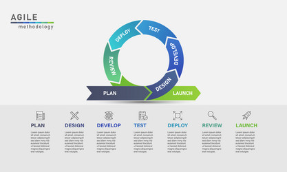 Agile development process infographic software Vector Image