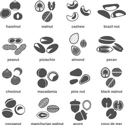 Nut Symbols Vector Images (over 23,000)