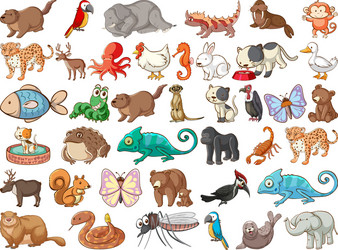 Cartoon animals collection set Royalty Free Vector Image