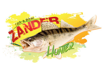 Zander Vector Images (over 230)