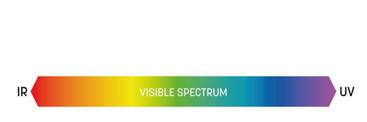 Colorful visible spectrum of light Royalty Free Vector Image