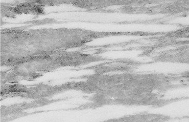 White grunge wall texture design Royalty Free Vector Image