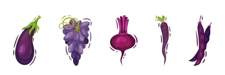 Purple fruit and vegetable with eggplant grapes Vector Image