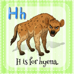 Flashcard letter h is for hamper Royalty Free Vector Image