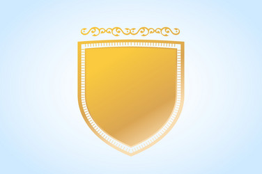 Vintage old style shield icon Royalty Free Vector Image