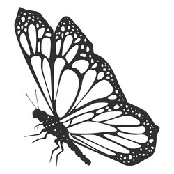 Butterfly Side View Vector Images (over 250)