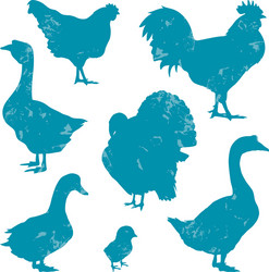 Poultry Vector Images (over 57,000)