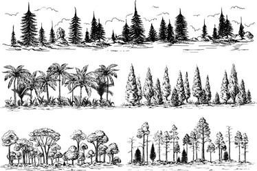 Set of trees drawing by watercolor Royalty Free Vector Image