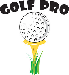 Golf tee and ball icon Royalty Free Vector Image