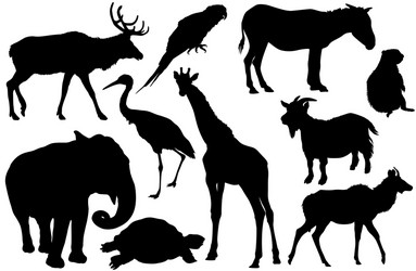 Set of black silhouettes wild animals cartoon on w