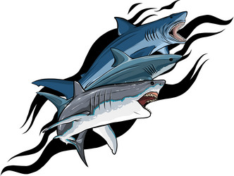 Great white shark design Royalty Free Vector Image