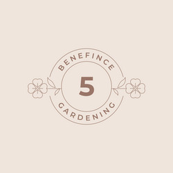 Flower Five Petals Vector Images (over 370)