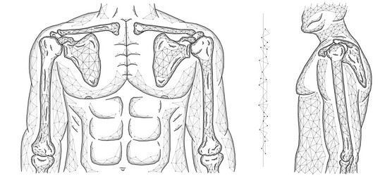 Human Shoulder Vector Images (over 6,700)