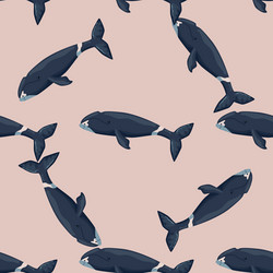 Bowhead Whale Cartoon Vector Images (over 170)