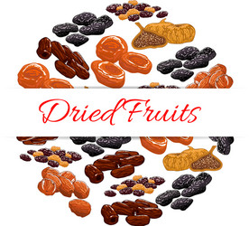Heart of dried fruits snacks Royalty Free Vector Image