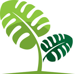 Taro Leaf Vector Images (over 140)