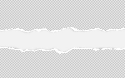 Ripped paper torn sheet edges isolated Royalty Free Vector