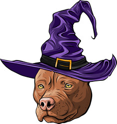 Wizard logo character design Royalty Free Vector Image