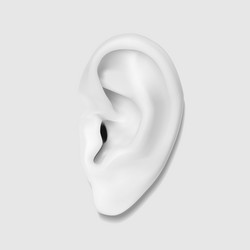 Human ear isolated Royalty Free Vector Image - VectorStock