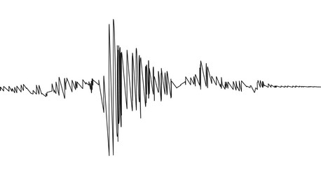 Seismograph Reading