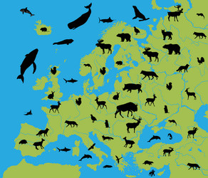 Animals on the map of asia Royalty Free Vector Image