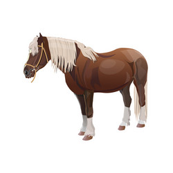Shire Horse Vector Images (33)