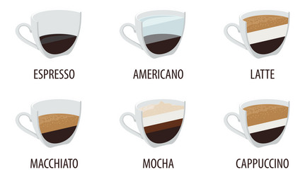 Coffee cup cafe menu with infographic flat design Vector Image