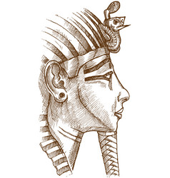 Osiris Vector Images (over 800)