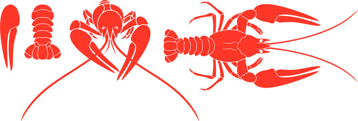 Crayfish Red Circle Vector Images (63)