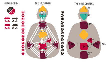 Human design bodygraph chart nine energy Vector Image