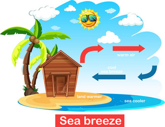 Science poster design for sea breeze Royalty Free Vector