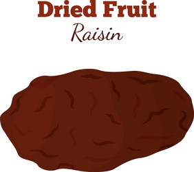 Dried fruit - raisin made in cartoon flat style Vector Image