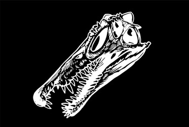 Gator Skull Vector Images (27)