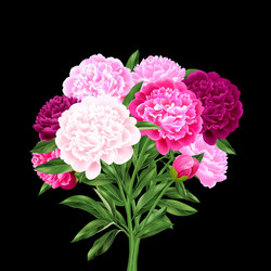 Peony Vector Images (over 25,000)