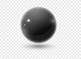 Black and white sphere with glares shadow Vector Image