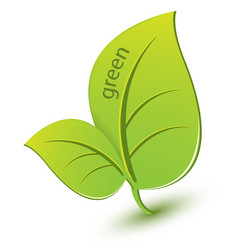 Two green leaves cartoon icon Royalty Free Vector Image