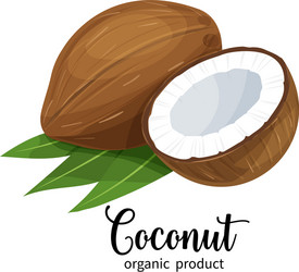 Coconut detailed icon Royalty Free Vector Image