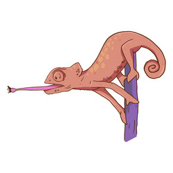 Pink chameleon color stroke high quality Vector Image