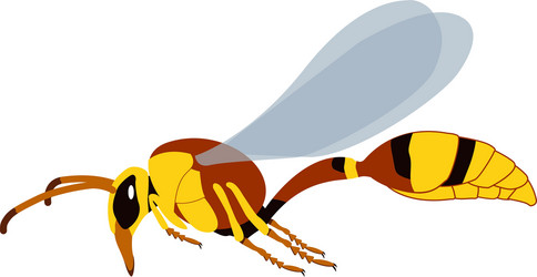 Wasp flying drawing Royalty Free Vector Image - VectorStock