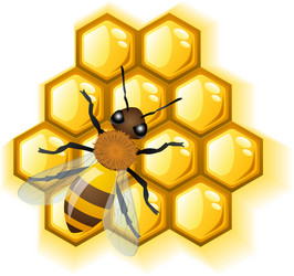 Honey Vector Images (over 97,000)