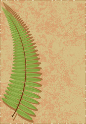 Silver Fern Vector Images (over 7,800)