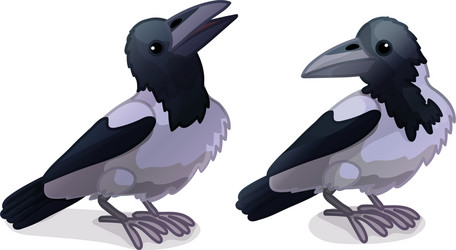 Cute cartoon crows Royalty Free Vector Image - VectorStock
