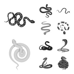 Skin and reptile symbol Royalty Free Vector Image