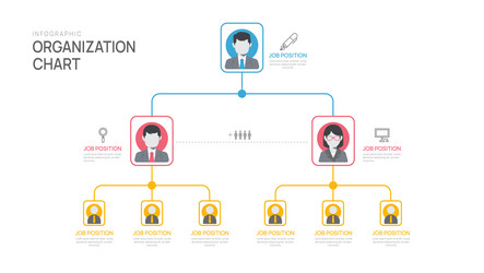 Infographic template for organization chart Vector Image