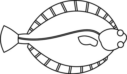 Sole Flatfish Fish Vector Images (75)