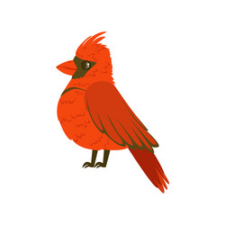 Red cardinal bird icon beautiful small Royalty Free Vector