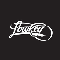 N colorful low poly letter logo icon design Vector Image